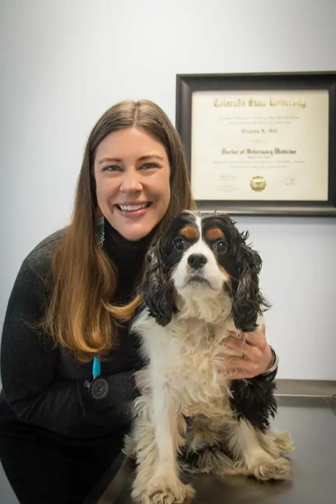 Veterinarian In Scarborough, ME 04074 | Maine Veterinary
