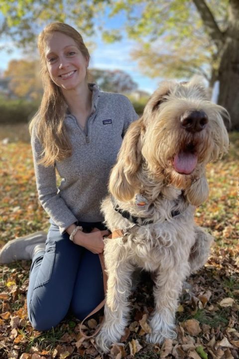 Veterinarian In Scarborough, ME 04074 | Maine Veterinary