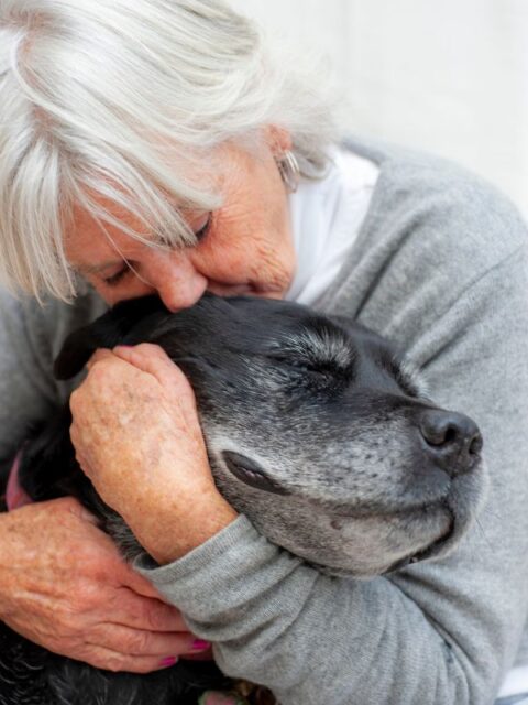 Pet Loss Support | Maine Veterinary Medical Center